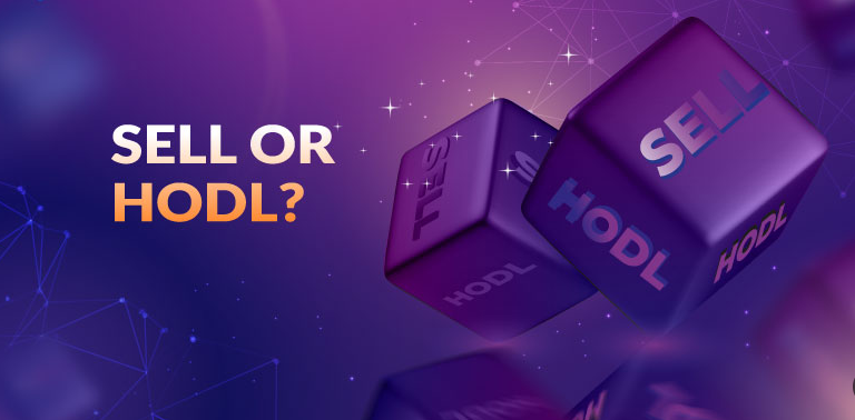 To Sell or to HODL?. As the crypto market continues to… | by Alex | Nov, 2023 | Medium