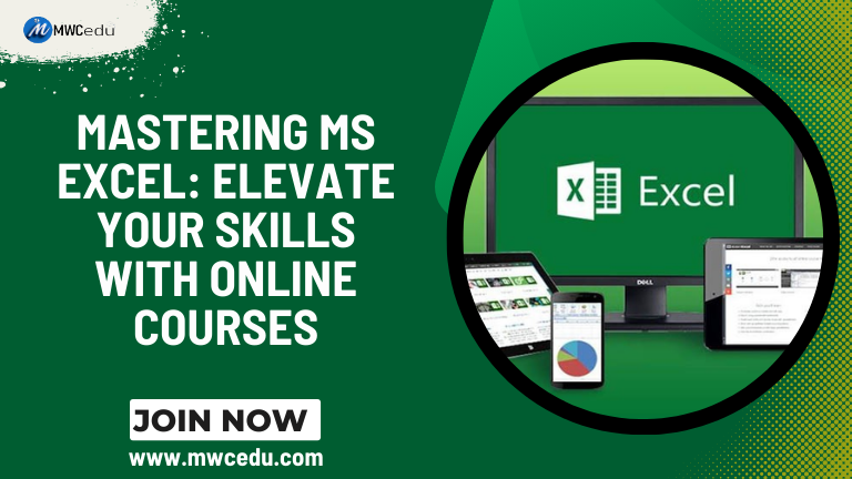 Mastering MS Excel: Elevate Your Skills with Online Courses | by hinadigital | Aug, 2024 | Medium