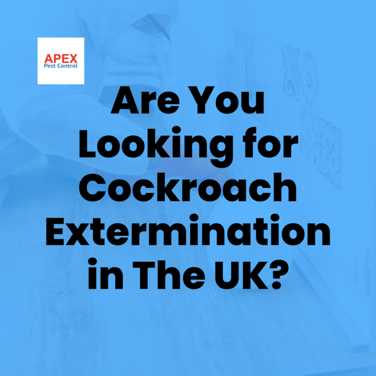 Cockroach Extermination. Are You Looking for Cockroach… | by Apex Pest ...