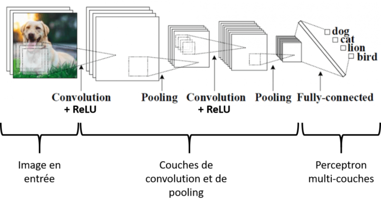 Comprendre les Réseaux de Neurones Convolutifs (CNN) | by Yannick Serge ...