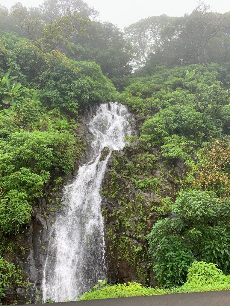 Finding Inspiration In Waterfalls | by Shubha Apte | Six Word Photo ...