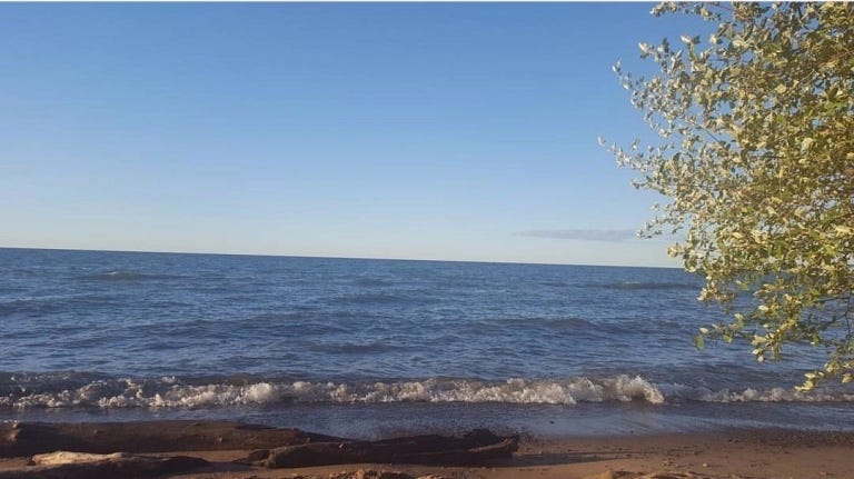 On loss, transition, and stillness | by Sista Outsider | Medium