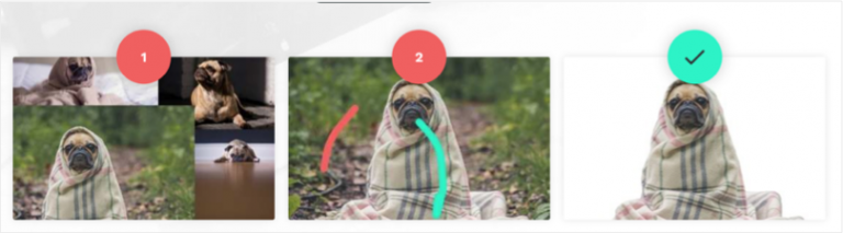 How to Increase Page Speed on Image-Heavy Websites | by David Bailey ...