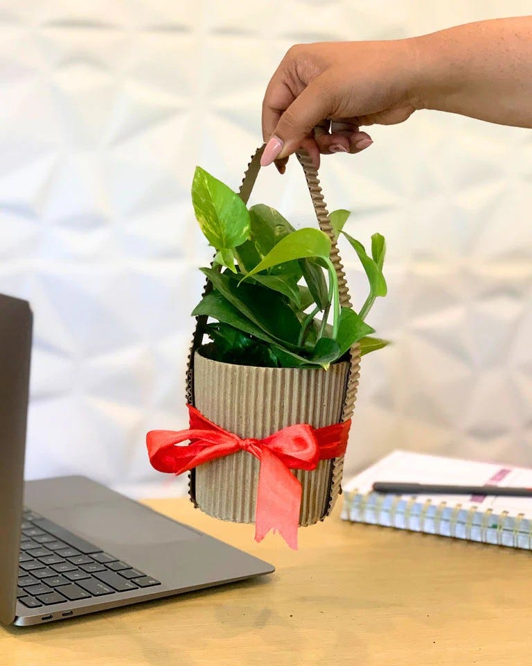 Green Gifting- Why Plants Make Perfect Presents | by Nehasingh | Apr ...