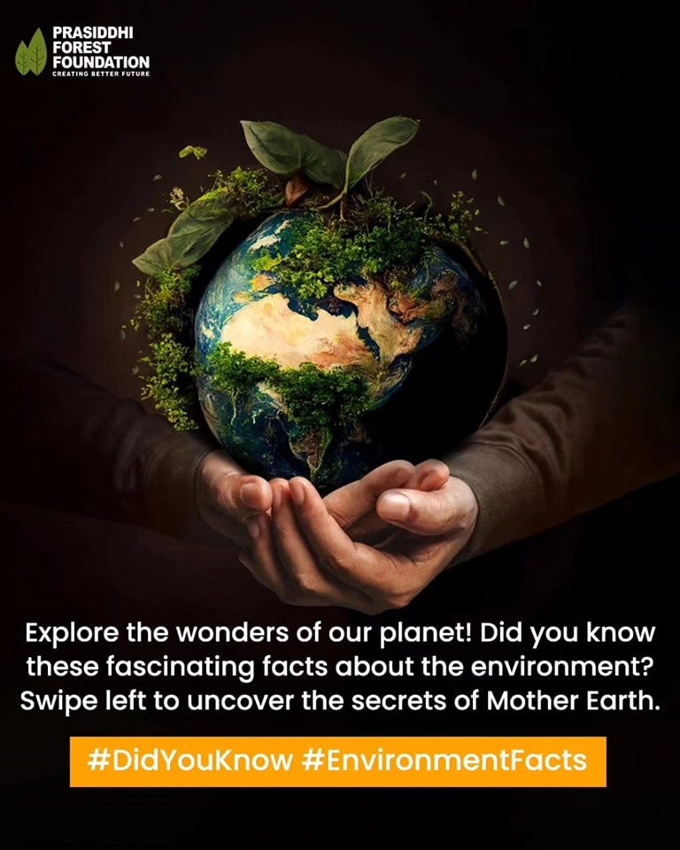Greening the Future: The Pioneering Efforts of Tree Plantation NGOs in ...