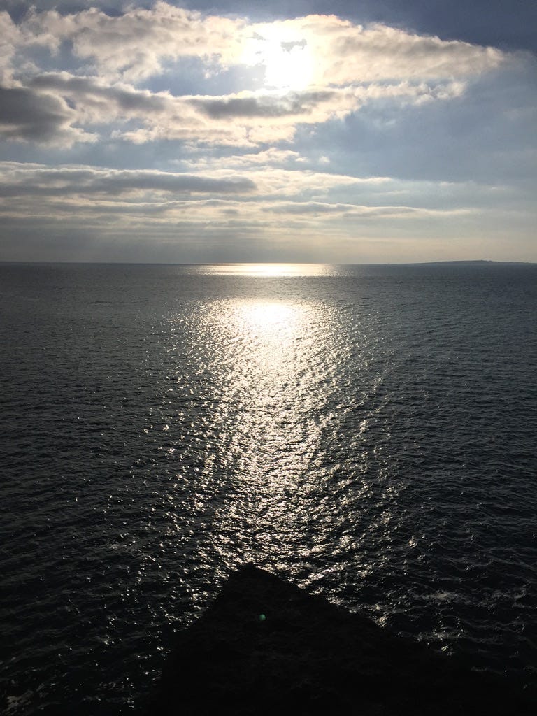 The View From Halfway Down (Inspired by a poem from Bojack Horesman ...
