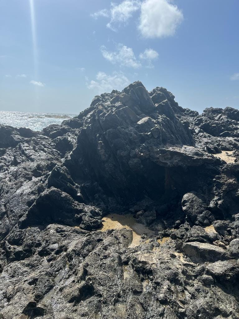 Literary Analysis: Medusa by Carol Ann Duffy | by Hannah Lee | Medium