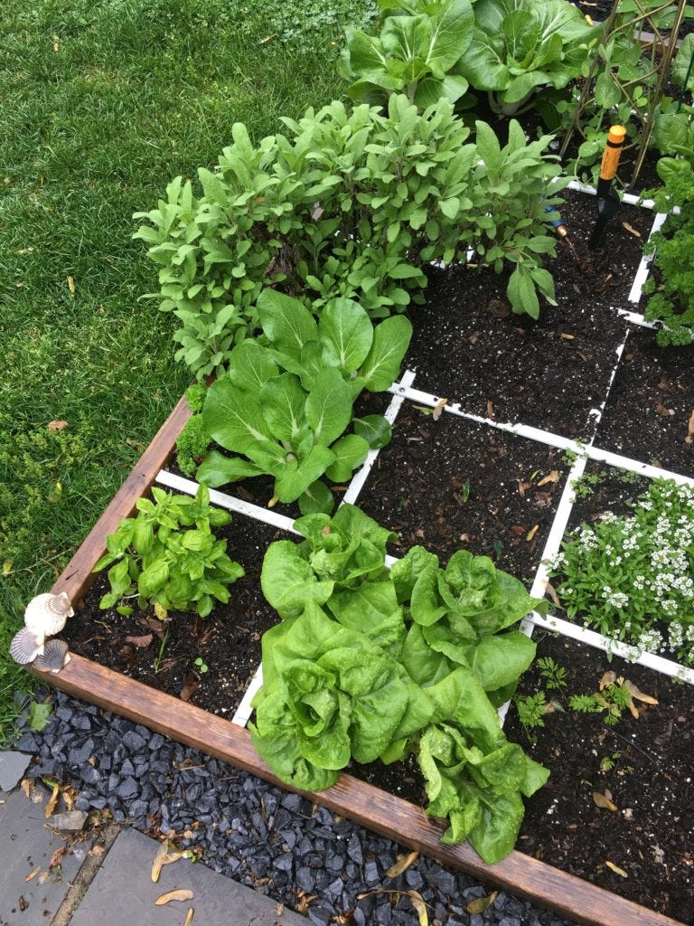 Gardening methods — 1. There are various gardening techniques… | by ...