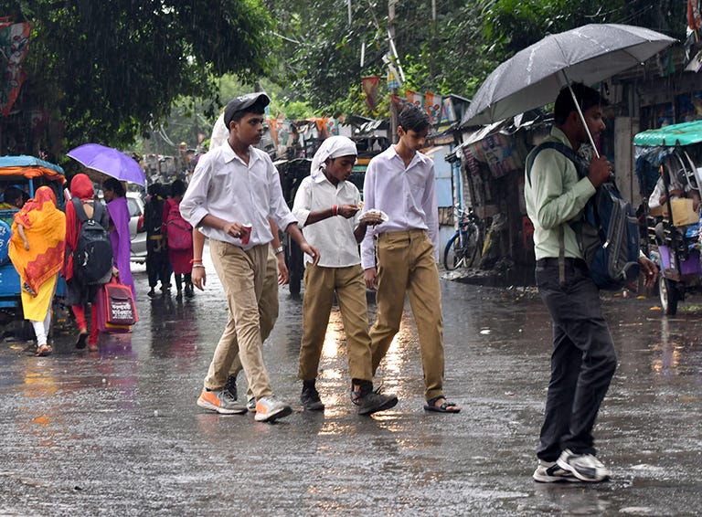 Capturing Rain: Transforming the World Around Us through Rain ...