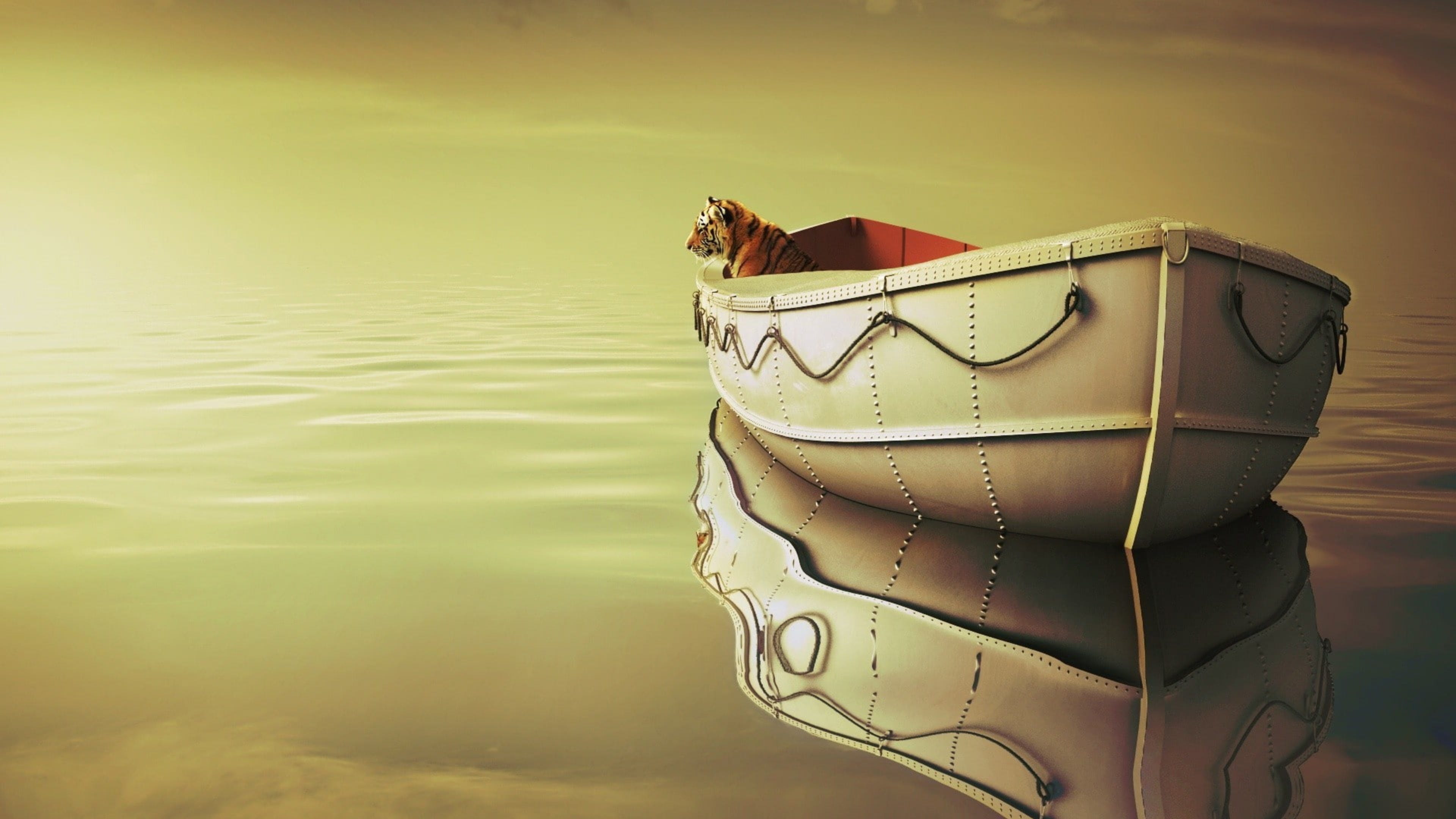 Life Of Pi Boat Diagram