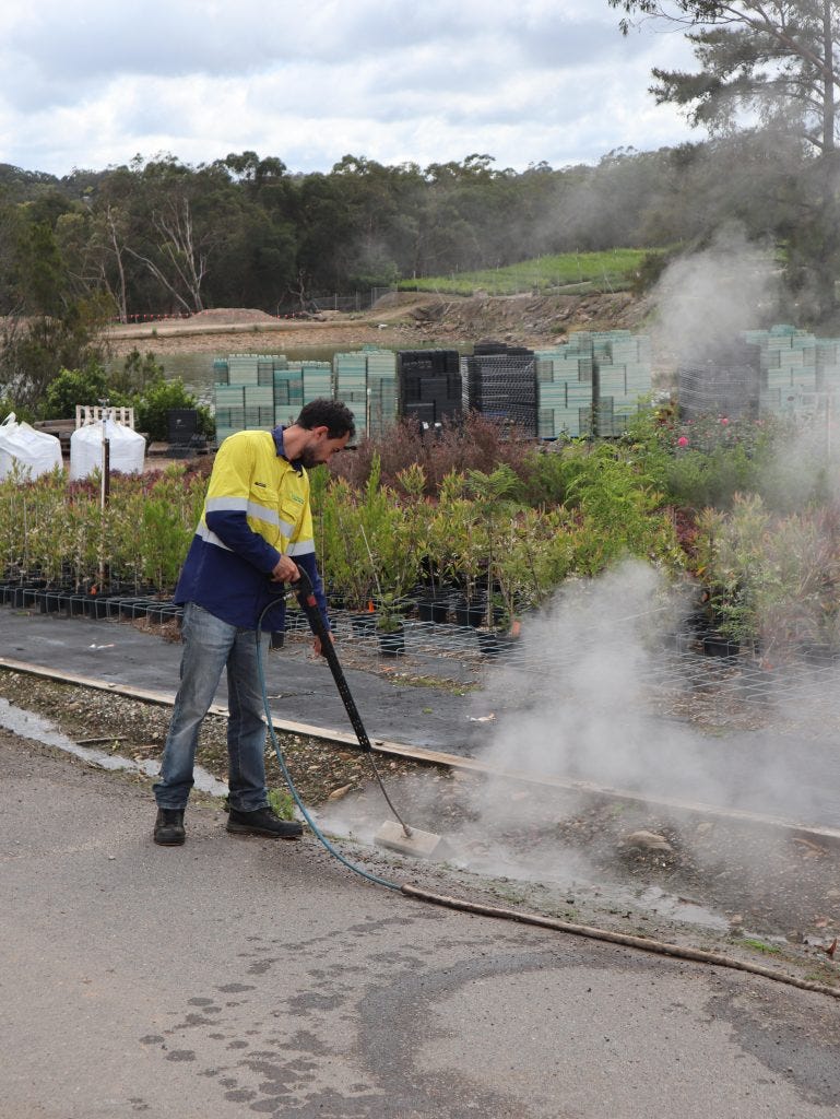 Satusteam or Steam? — as an alternative weed management strategy | by ...