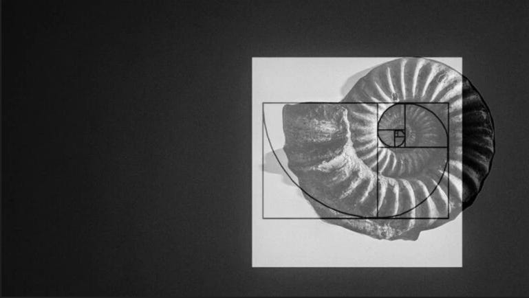 Unveiling Harmony: The Golden Ratio in UI/UX Design | by Jaya Advani ...