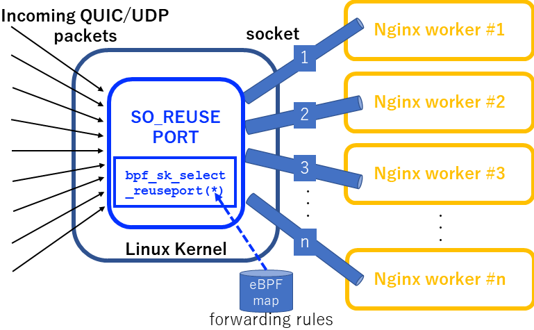 NginxでのeBPFとSO_REUSEPORTを使ったQUICコネクション受信処理 | by Jun-ya Kato | nttlabs | Medium