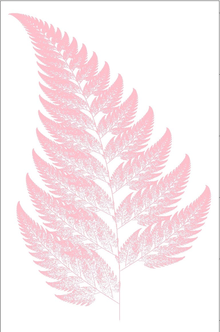 Barnsley’s Fern Fractal in R. What is R? | by Ryan Bradley-Evans | Medium