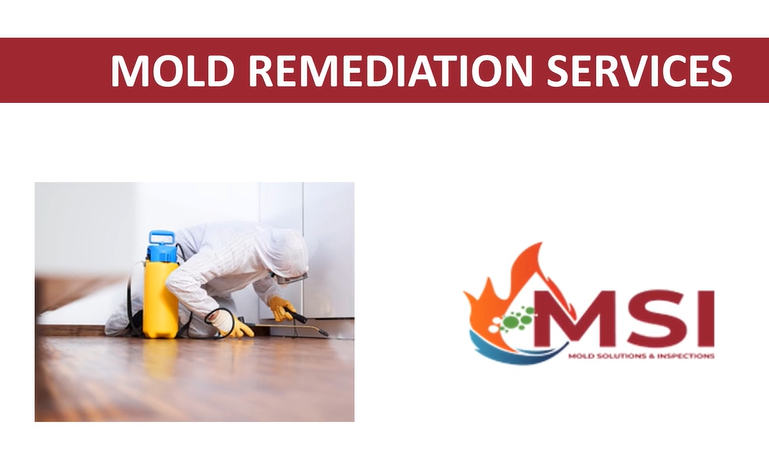 Welcome To Mold Remediation Services - Mold Solutions & Inspections ...