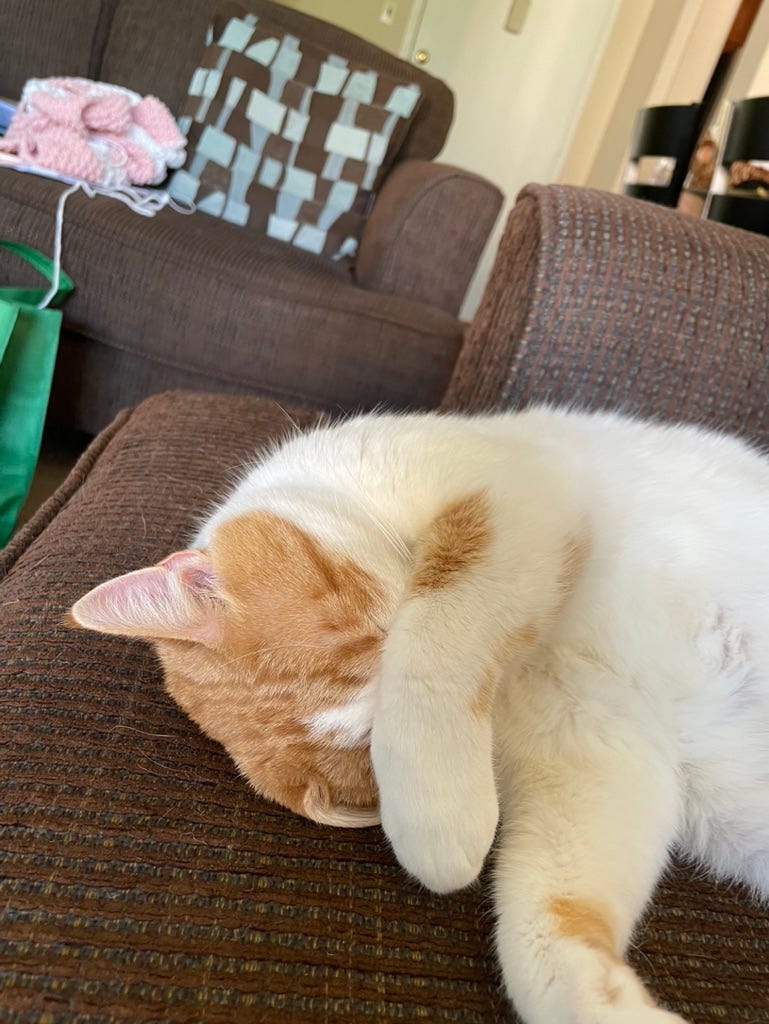 My Cat Snores, Does Yours?. No,no,no — I’m not mistaking a purr for ...