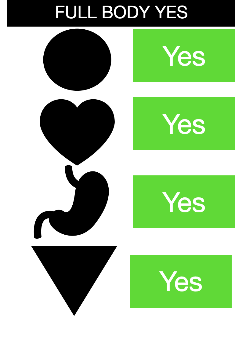 A Full Body Yes: From Friction to Flow | by Cora Nation | Medium
