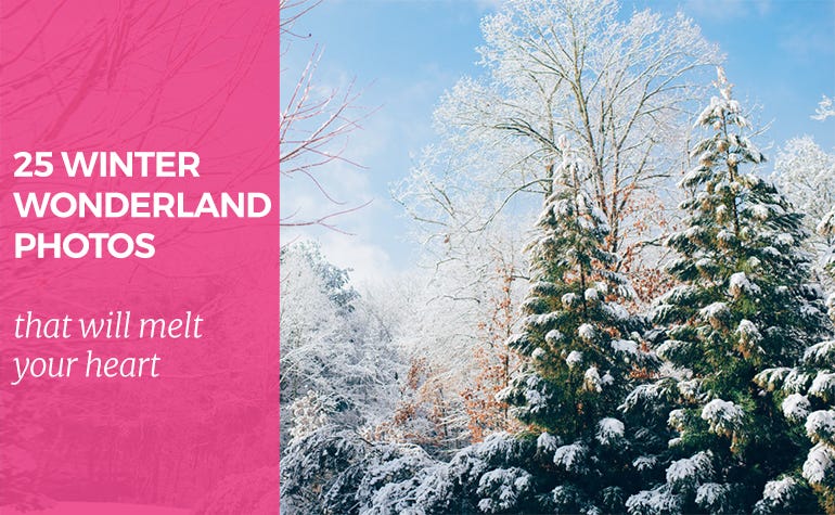 Winter Wonderland Photography