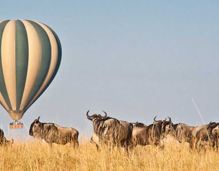 Adventurous Heights: Discovering Masai Mara via Hot Air Balloon | by ...