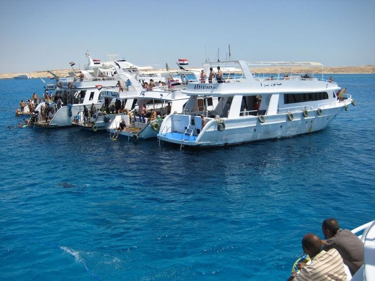 Red Sea Packages. Swim in the pure crystal water of the… | by Shaspo ...
