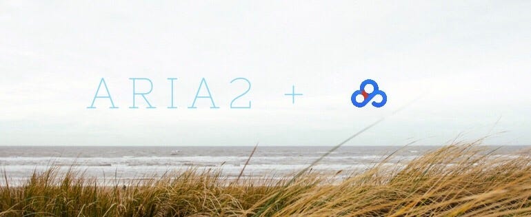 小白如何上手 Aria 2 实现百度网盘高速下载？. 本文为 Aria 2 的 Windows 使用教程，包教包会。 | by Brandon ...