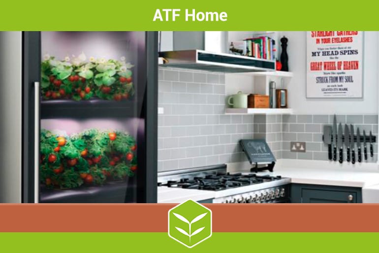 ATF Home. ATF — продукт 🌿, созданный агрономами… | by 111 | Medium