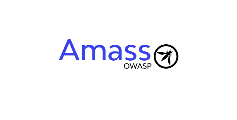 Amass: Complete Guide to Subdomain Recognition | MeetCyber