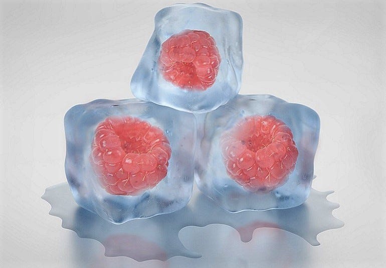 DIY: Flavoured Ice Cubes. Flavored Ice Cubes is such a unique and… | by ...
