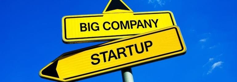 Product management in startups vs big companies | by Ajay Singh ...