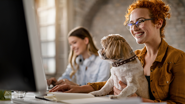The Benefits of Bringing Your Pet to Work | by Alejandro Fuentes ...