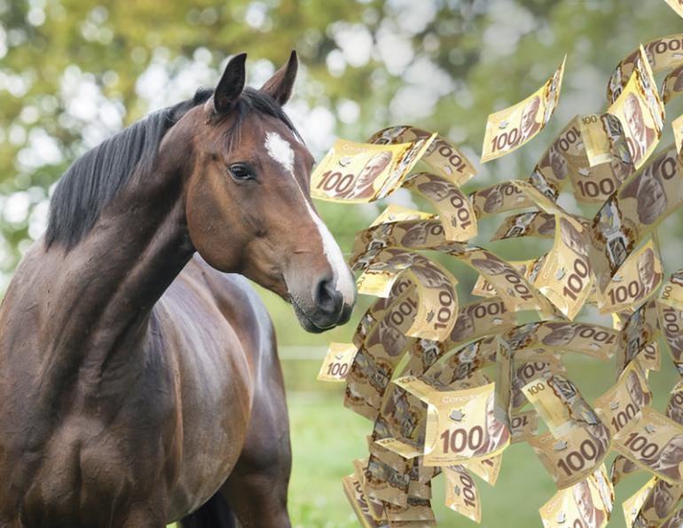 Wingatui — New Zealand Horse Racing Tips Saturday 3/2/24 | by Damin ...