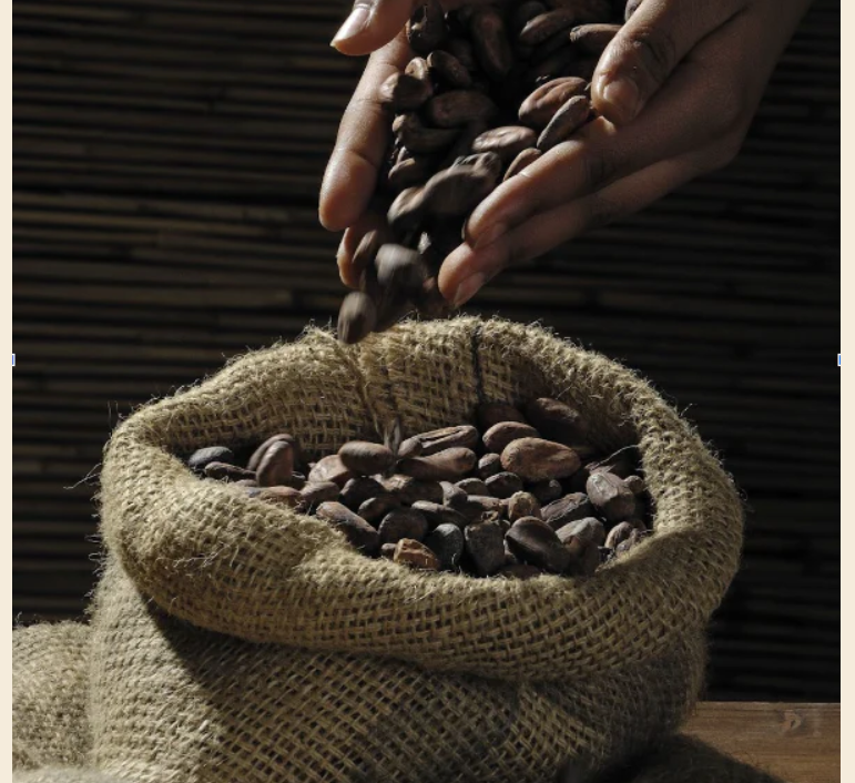 Pure Delight in Every Bite: For the Ultimate Chocolate Lover | by ...