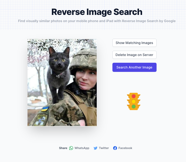 How to Verify Viral Photos on the Internet with Reverse Search | Medium
