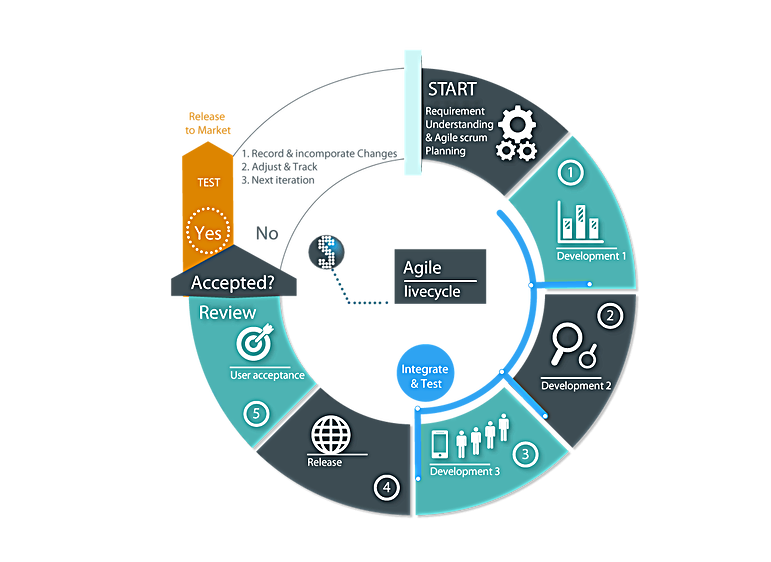 Importance of Agile Development Methodology | by Claire D. Costa | Medium