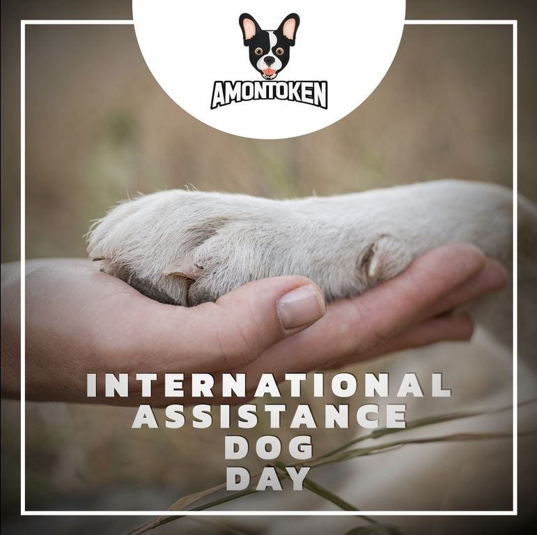 Today is Assistance Dog Day🐕 - AmonToken - Medium