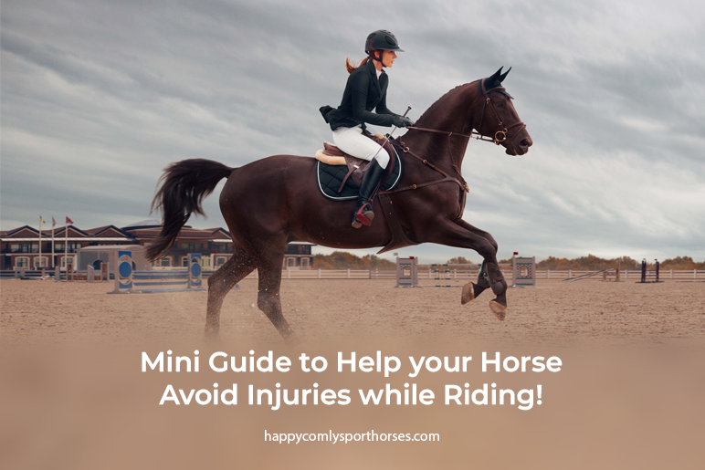 Mini Guide to Help your Horse Avoid Injuries while Riding! - Stassy ...