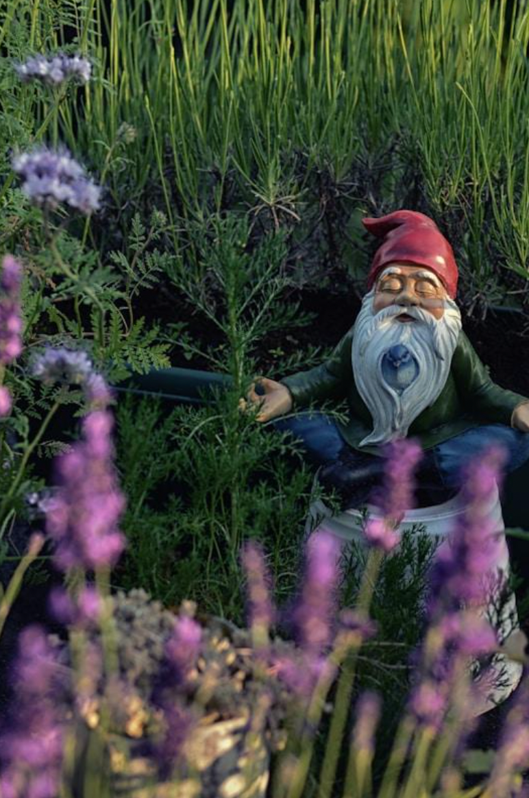 Find Your Zen: Answer 3 Simple Questions to Make Every-Day Miracles ...