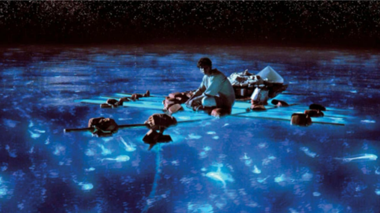 Twinkles in the Ocean — Dinoflagellate Bioluminescence | by Joyce Chou | Medium