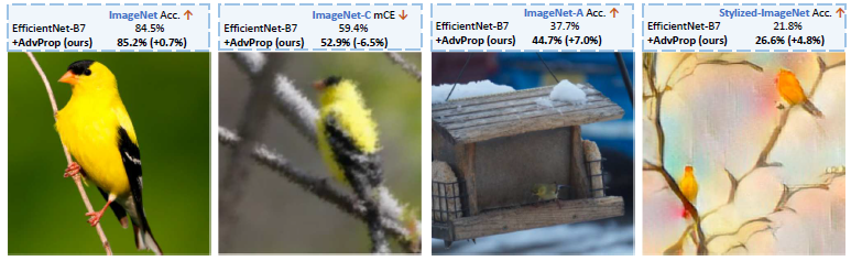 Review — Adversarial Examples Improve Image Recognition | by Sik-Ho ...