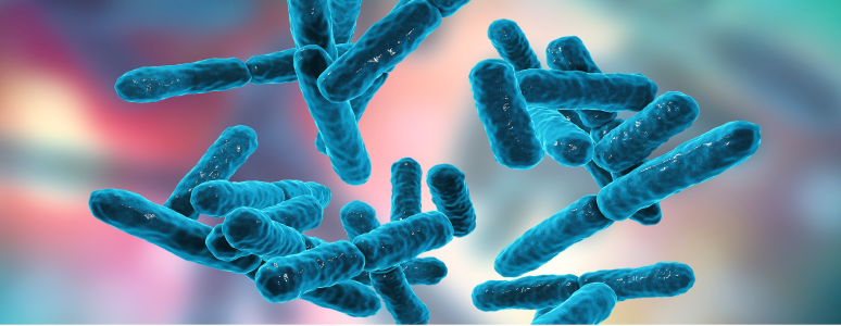 Test your microbiome analysis pipeline with PLuMA | by Helene Perrin ...