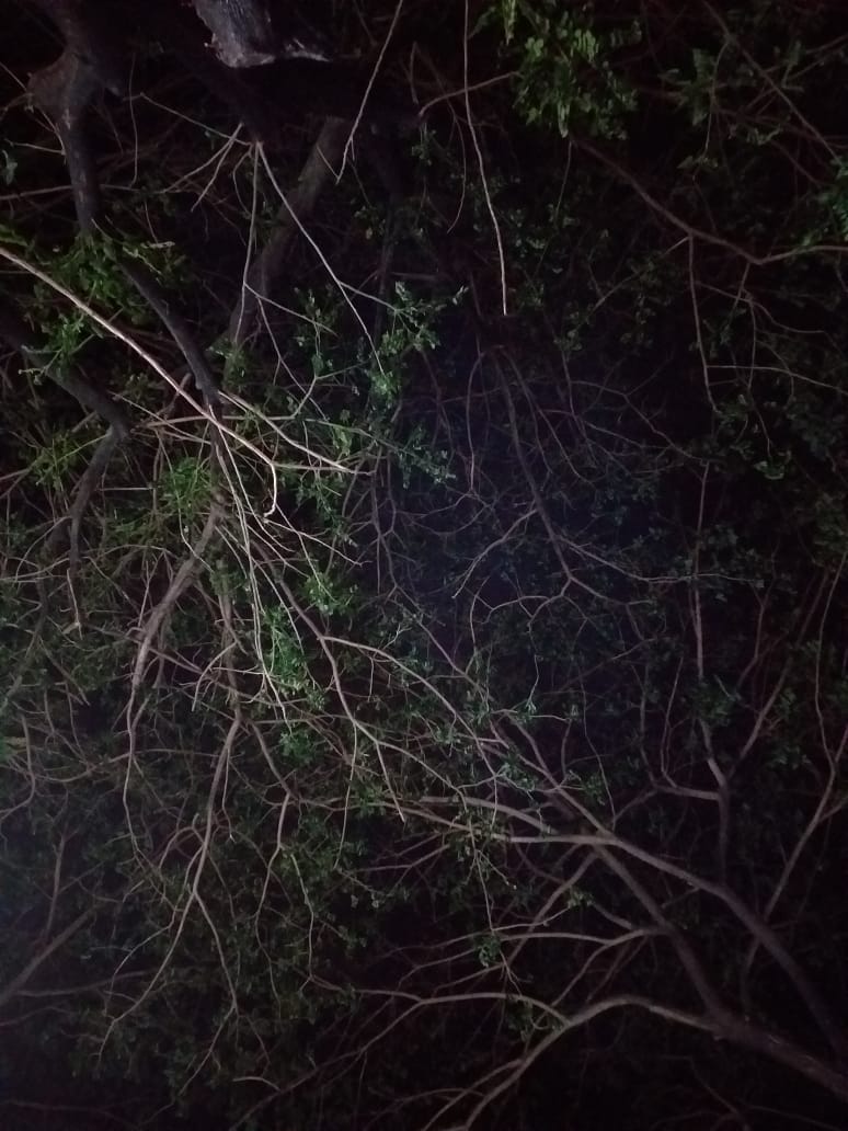 Senggang - Abd Rahmat - Medium