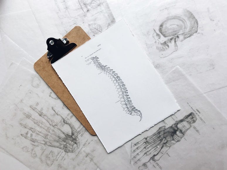 Are You Struggling with Poor Posture? Here’s 4 Most Common Posture ...