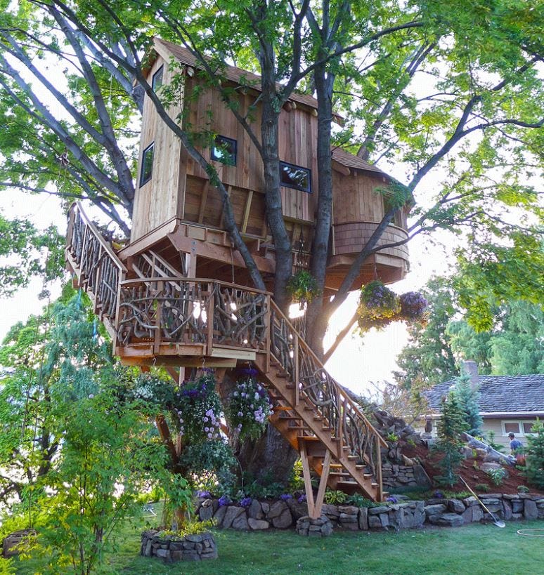 Dream Tree House Abodes: Live In A Cool Tree Home | by Carol Ruth Weber ...
