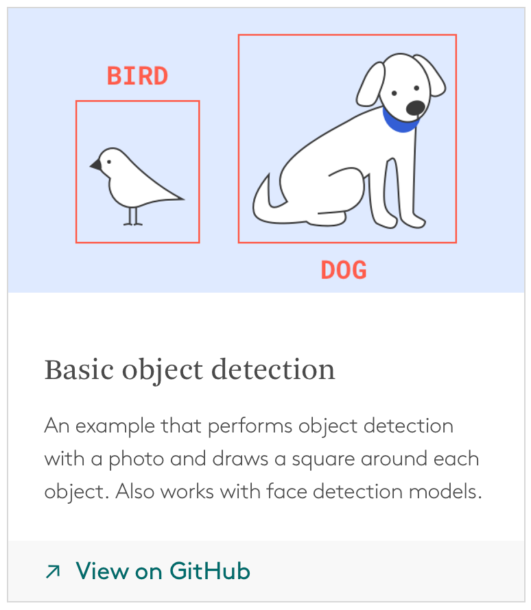 ICT740: Basic Object Detection: Animal Detection | by Farn Cwp. | Medium