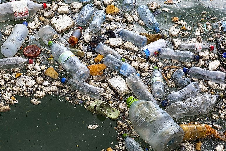 16 ways to save the planet by reducing your plastic use: | by Savannah ...