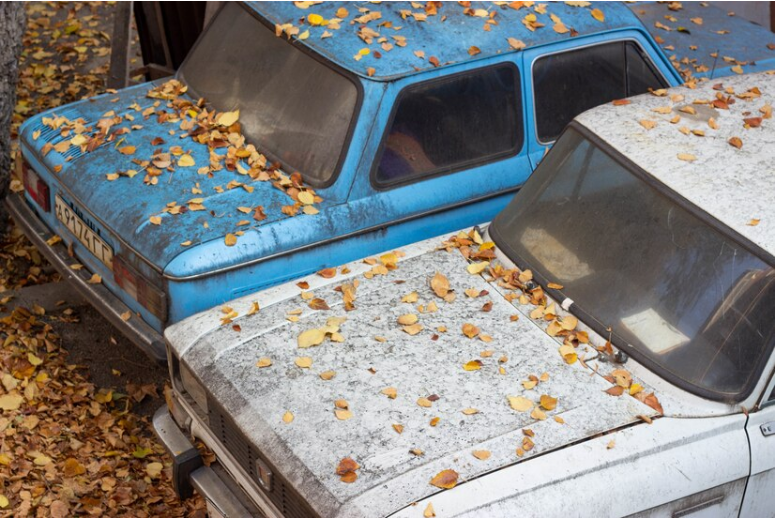 Cash for junk car Calgary - Calgary Cash ForJunk Car - Medium