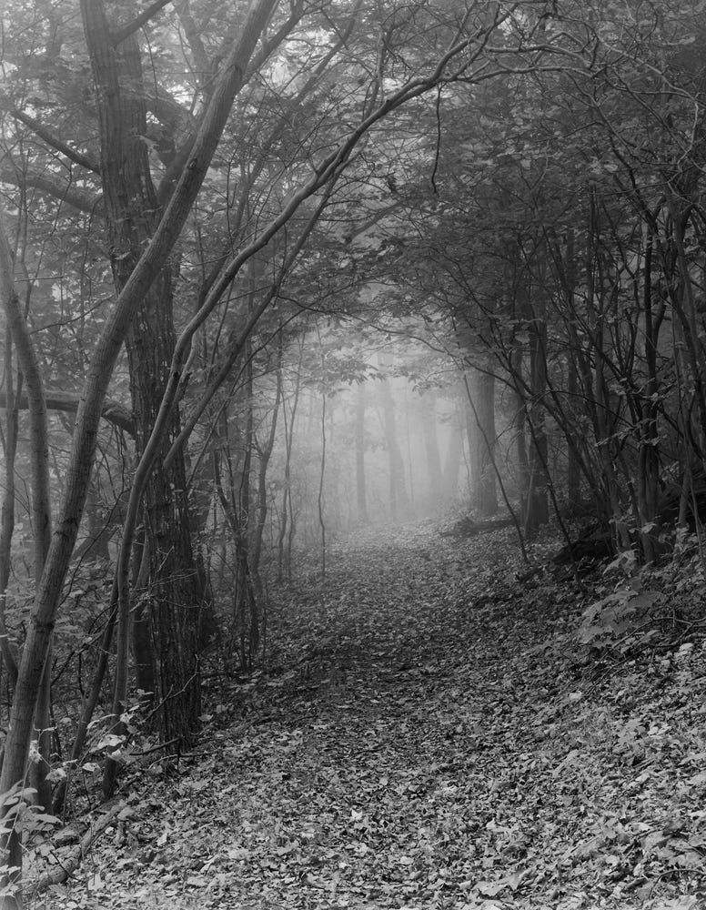 Pathfinder. Trail set brightly. Reset. It’s coming… | by Brandon Clark ...