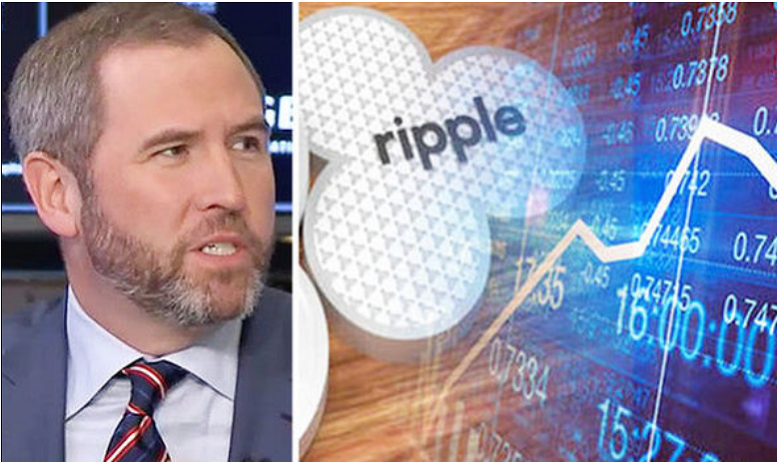 Ripple CEO Brad Garlinghouse Talks About The Reasons For Their Growth ...