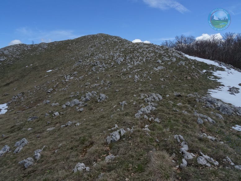 Vučje, Vagan 1.663 mnm (najviši vrh) - Moračke planine | by Predrag ...