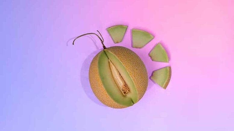 The Sweet and Succulent Wonder: Exploring the Delicious World of Cantaloupe | by Mudassarrafique ...